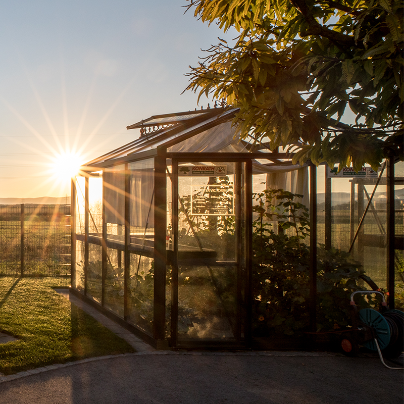 Viktorianisches Glashaus im Set